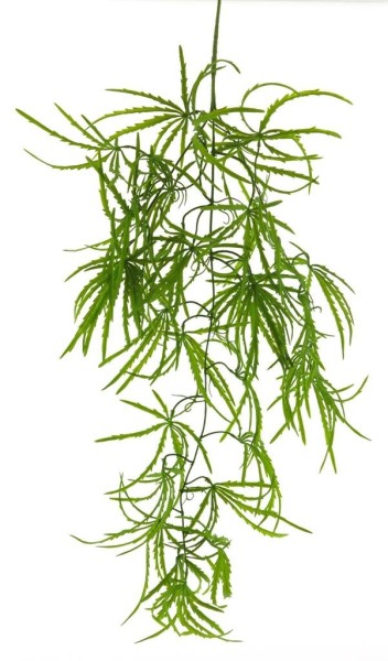 Finger Aralia Zweig L104cm | künstliche Blumen F2024 | Frühjahr ...